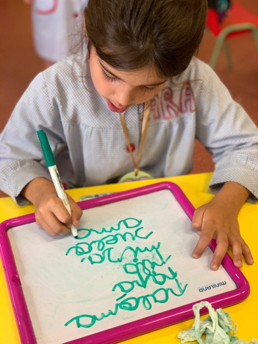 Servicio de Atención al Niño – SAN | Colegio Luz Casanova Embajadores